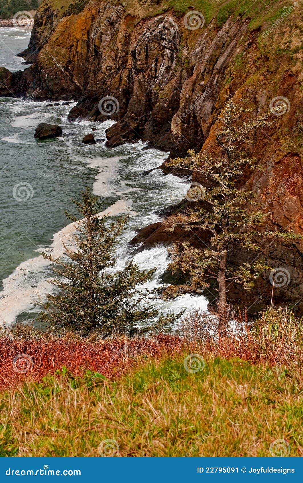 Pacific Ocean Cliff Line on Washington State Coast Stock Image - Image ...