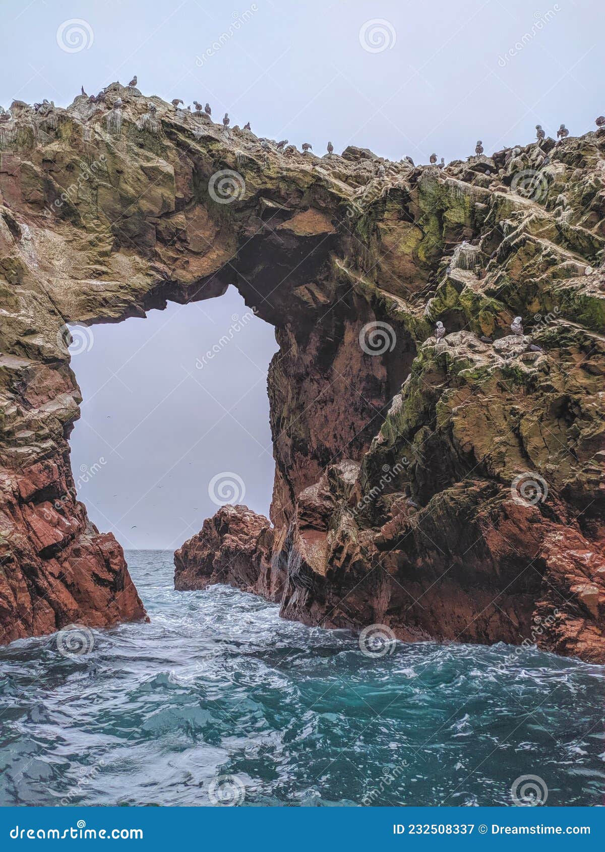 Pacific Ocean Cliff Peru stock image. Image of islet - 232508337