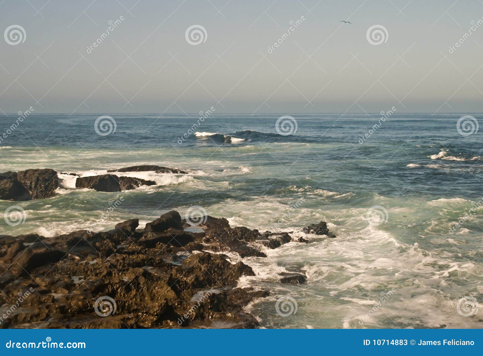 Pacific Ocean Cliffs stock image. Image of seascape, cove - 10714883