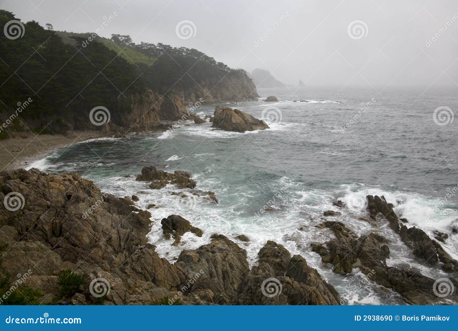 Pacific ocean coastline stock photo. Image of beauty, island - 2938690