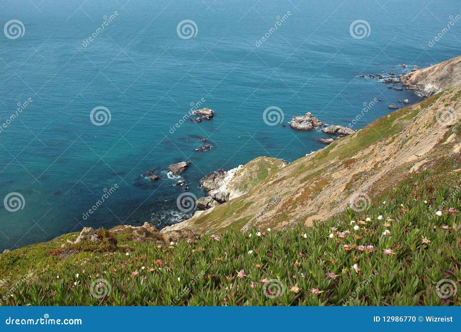Pacific Ocean at Point Reyes Stock Photo - Image of national, cliff ...