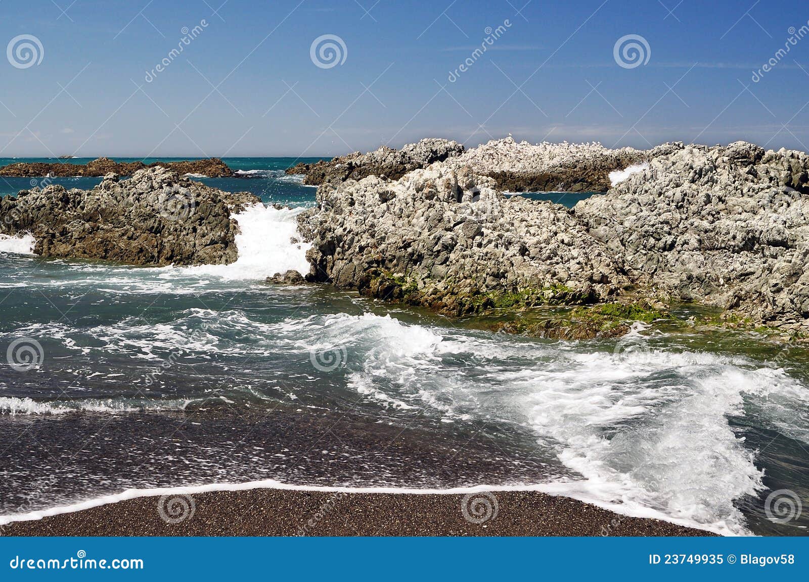 Pacific Ocean rocks stock image. Image of marlborough - 23749935