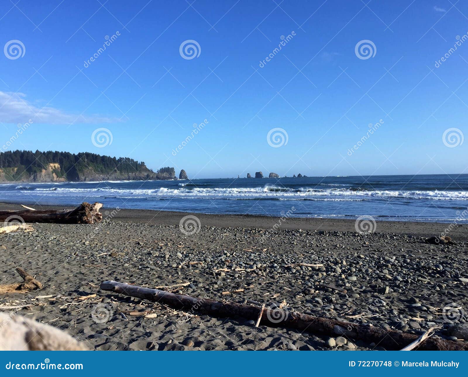 Pacific ocean shore stock photo. Image of hiking, logs - 72270748