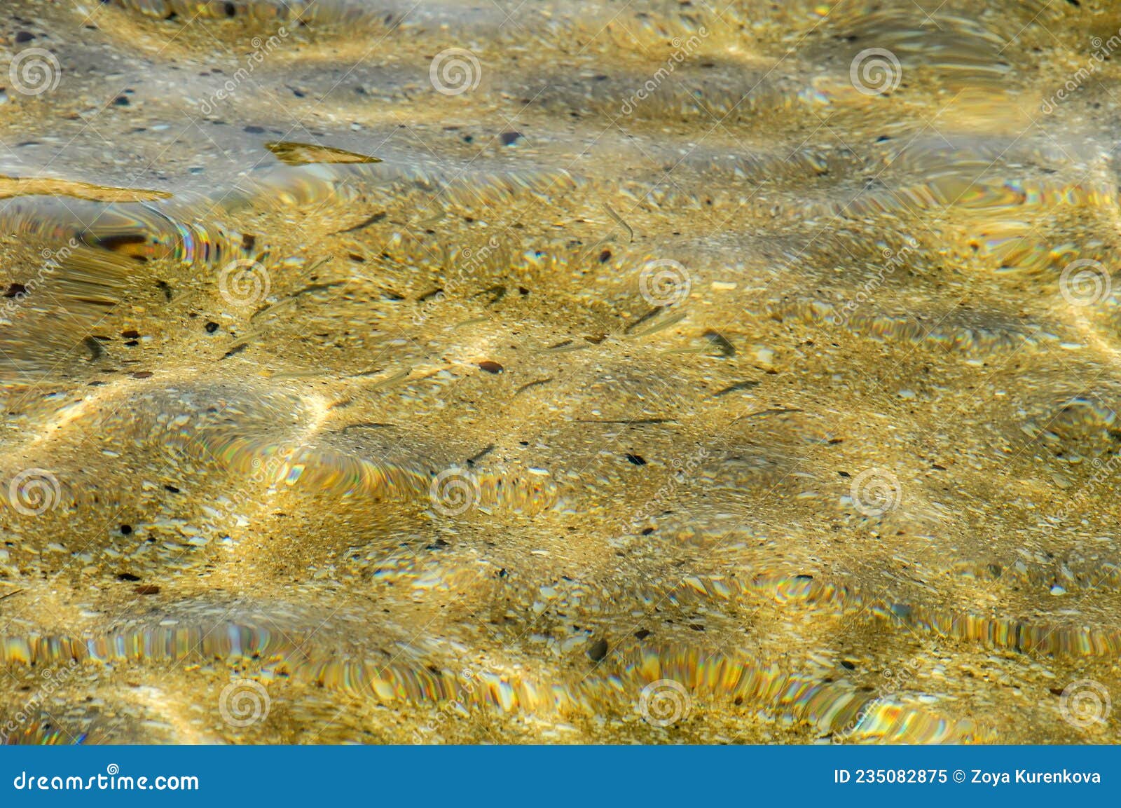 Pacific Ocean Transparent Ocean Water Texture Stock Image - Image of ...