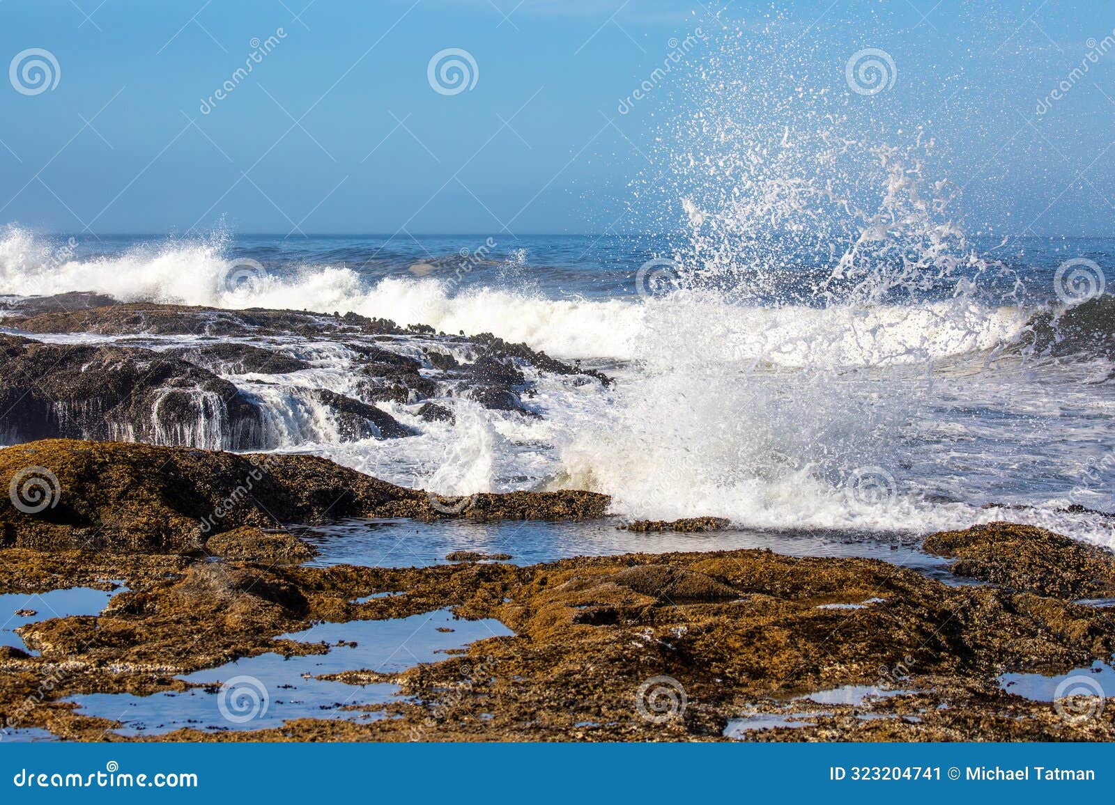 Pacific Ocean Waves Landing on the Rocky Oregon Coast Stock Image ...