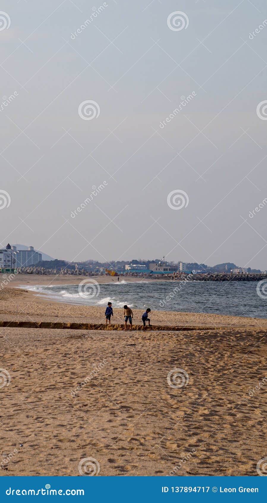 Pacific Ocean Waves Rolling Onto the Beach in South Korea Editorial ...