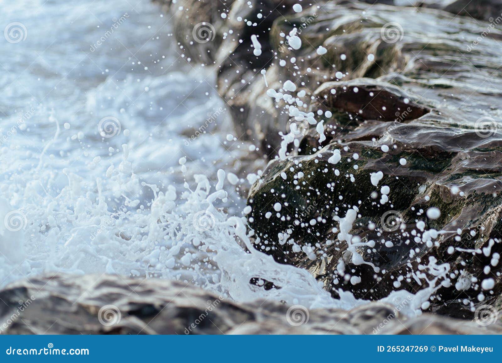 Pacific Ocean Waves Spray Stone Coast Stock Image - Image of leaf ...