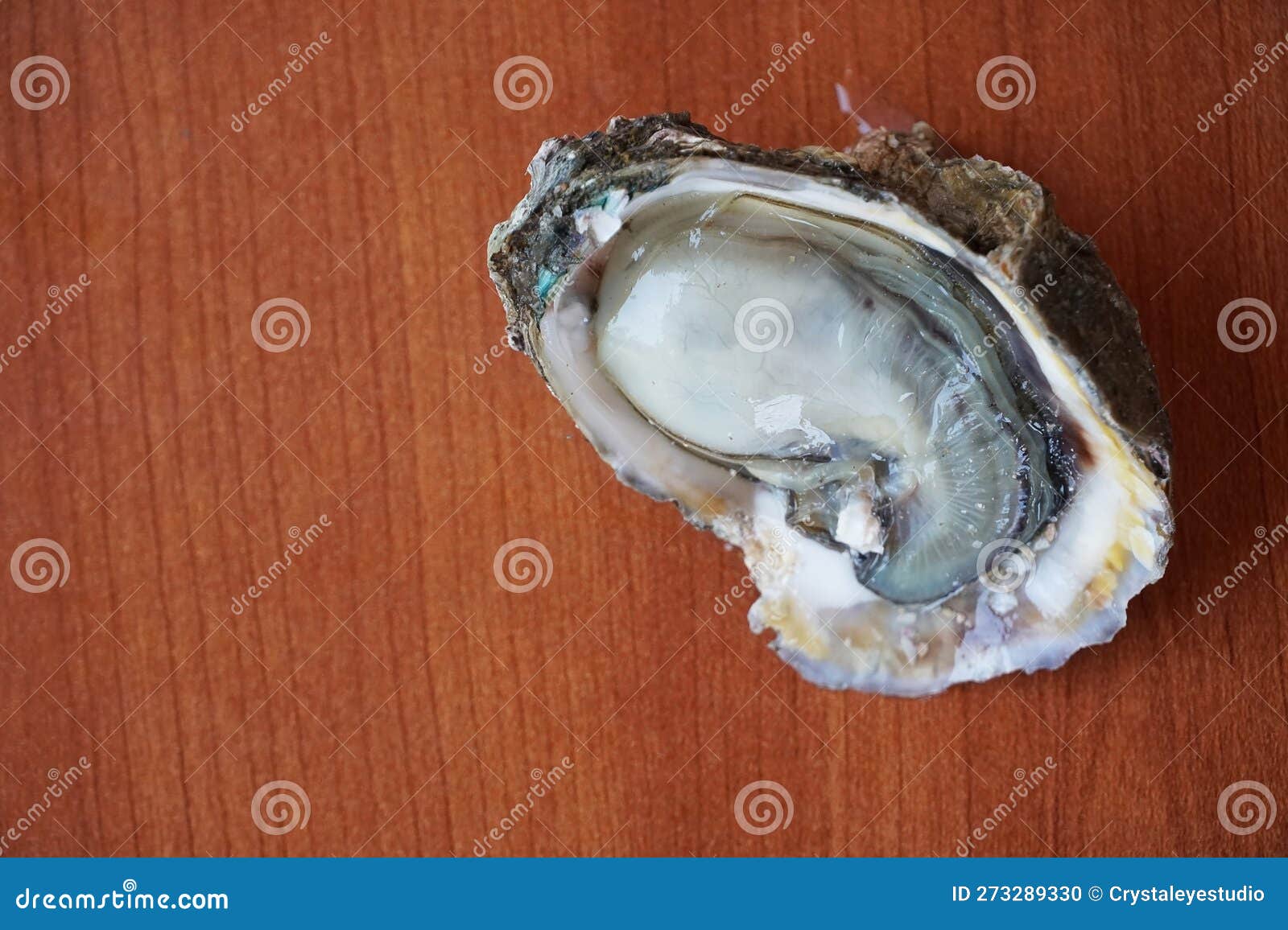 Pacific Oyster with Open Shell Photo Stock Photo - Image of cultured ...
