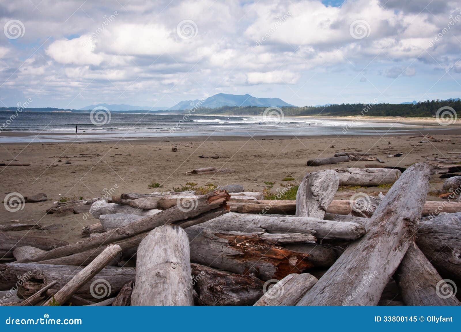 Pacific Rim stock image. Image of coastline, island, outdoors - 33800145