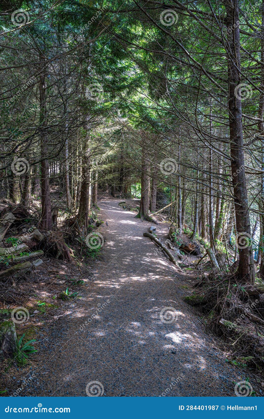 Pacific Rim Trail stock image. Image of natural, destination - 284401987