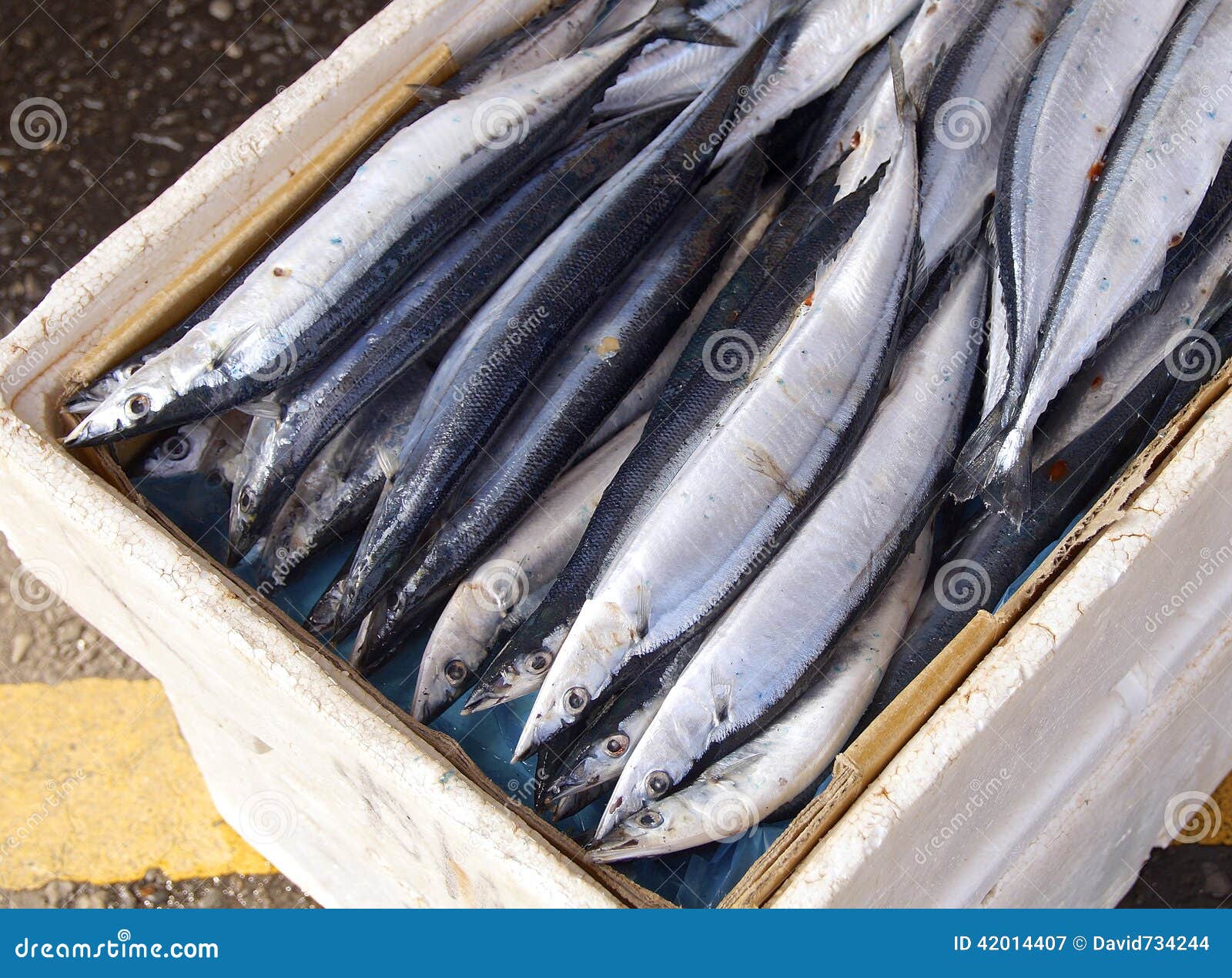 Pacific saury stock image. Image of freshness, ocean - 42014407