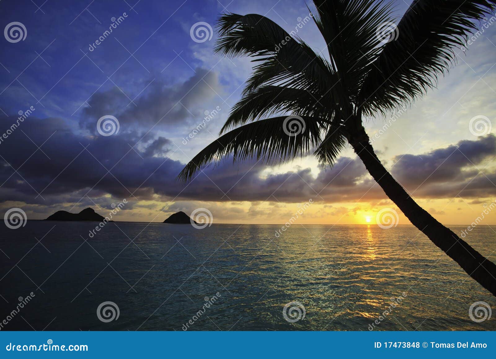 Pacific sunrise in hawaii stock photo. Image of colorful - 17473848