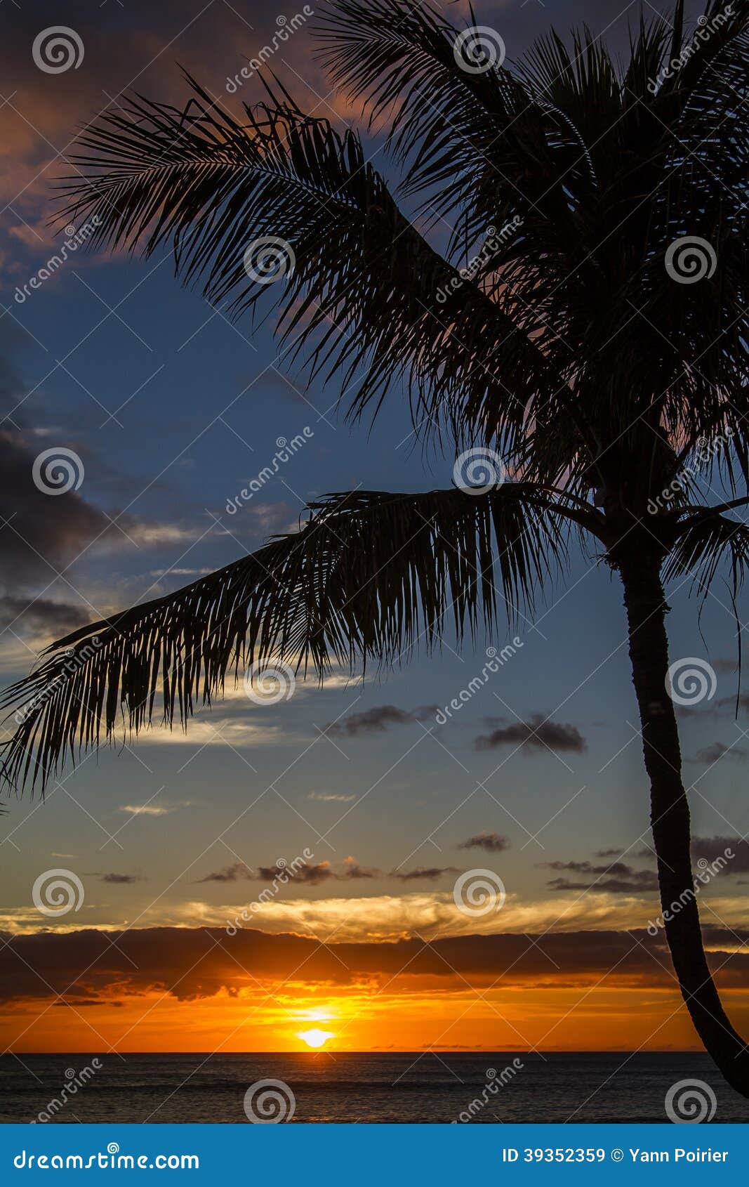Pacific sunset stock image. Image of lonely, tropical - 39352359