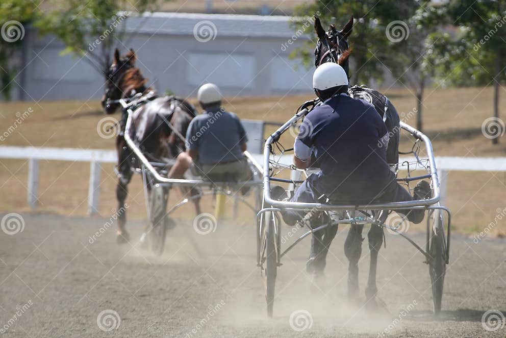 Pacing stock image. Image of controlling, equestrian, circuit - 834671