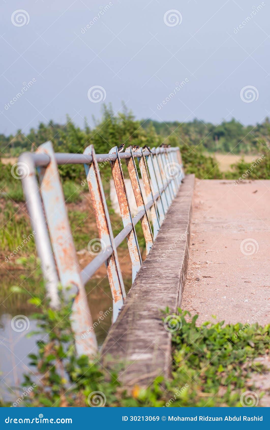 Birds on the bridge stock image. Image of sitting, resting - 30213069