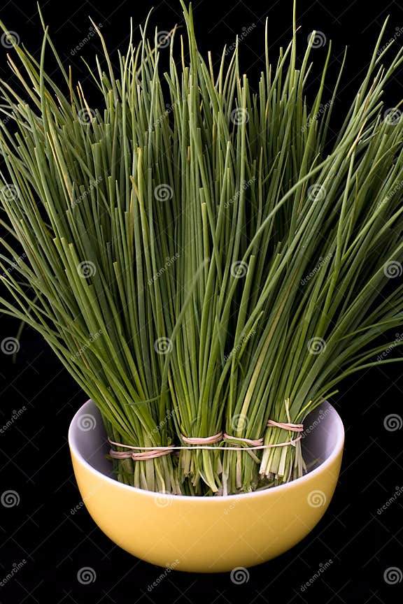 Pack of chives stock photo. Image of photograph, ingredient - 128969928