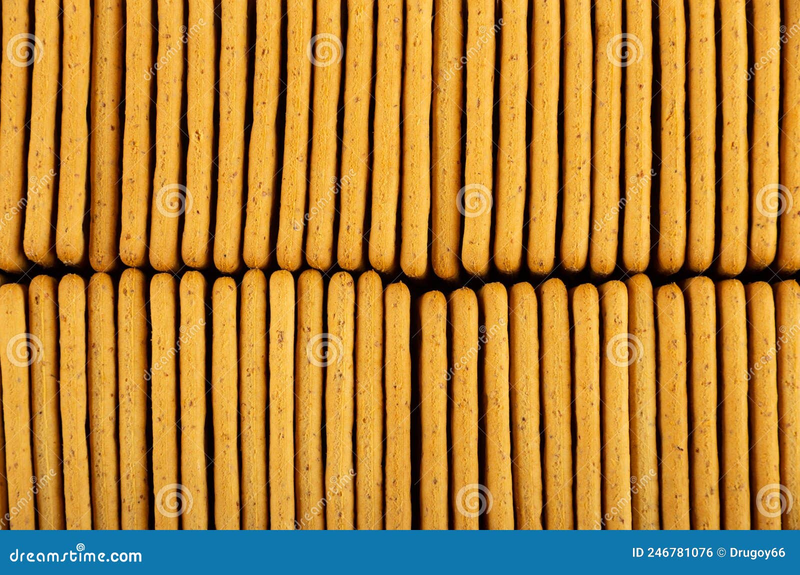 Pack of Cookies in Two Rows. Top View Stock Photo - Image of cookie ...
