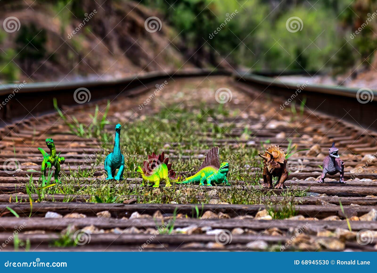 Pack of Dinosaurs Walking on Railroad Tracks Stock Photo - Image of ...
