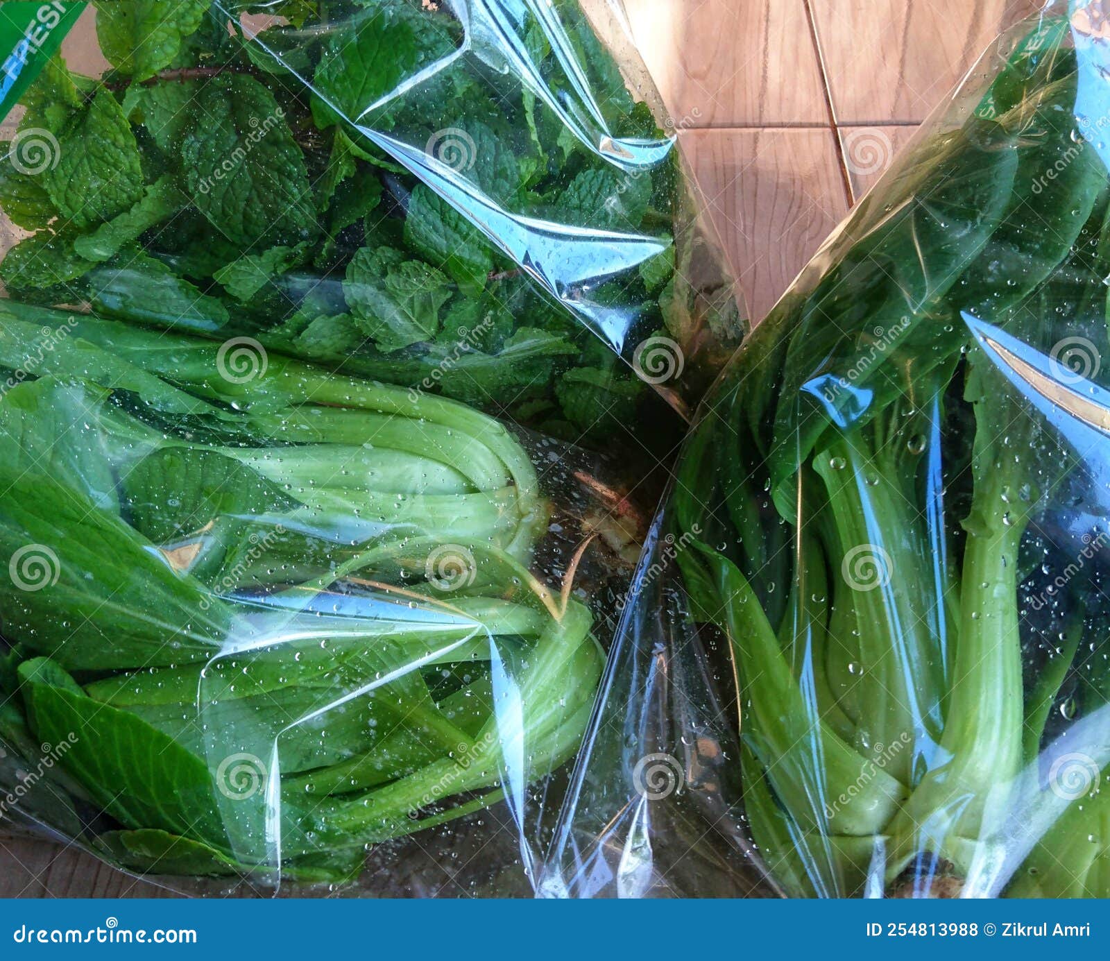 A Pack of Fresh Vegetables stock photo. Image of soil - 254813988