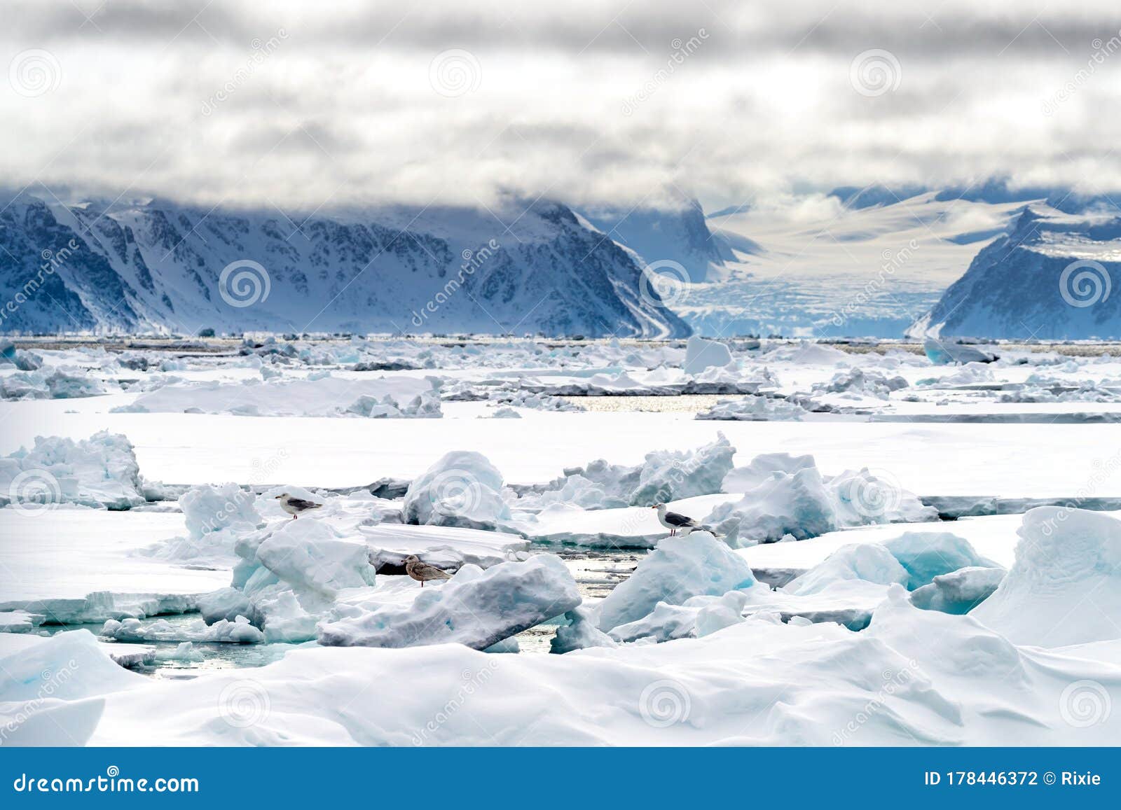 Pack Ice in the Arctic Circle at 80 Degrees North Stock Photo - Image ...