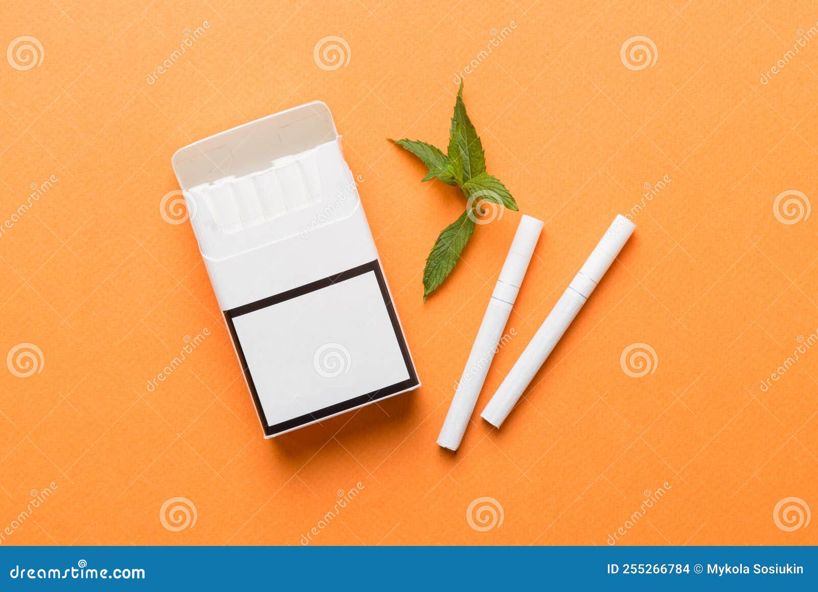 Pack of Menthol Cigarettes and Fresh Mint on Colored Table, Menthol ...