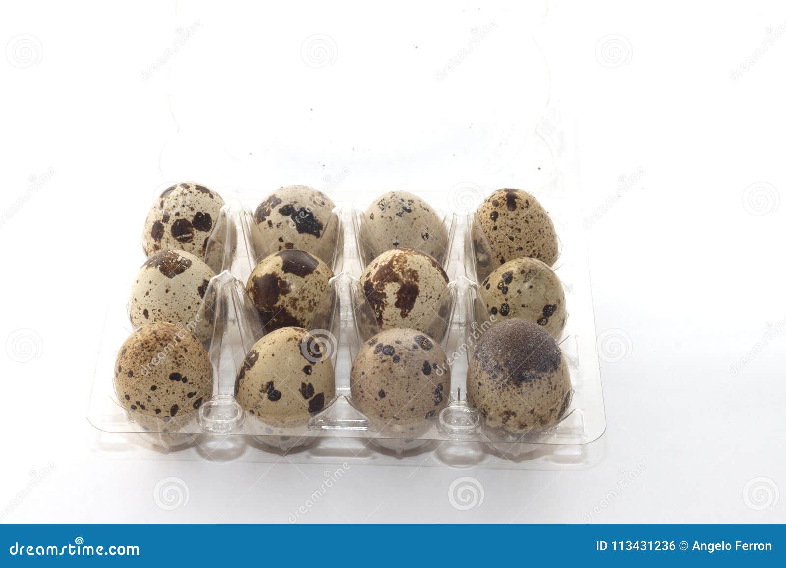 Pack of quail eggs stock photo. Image of locked, caged - 113431236