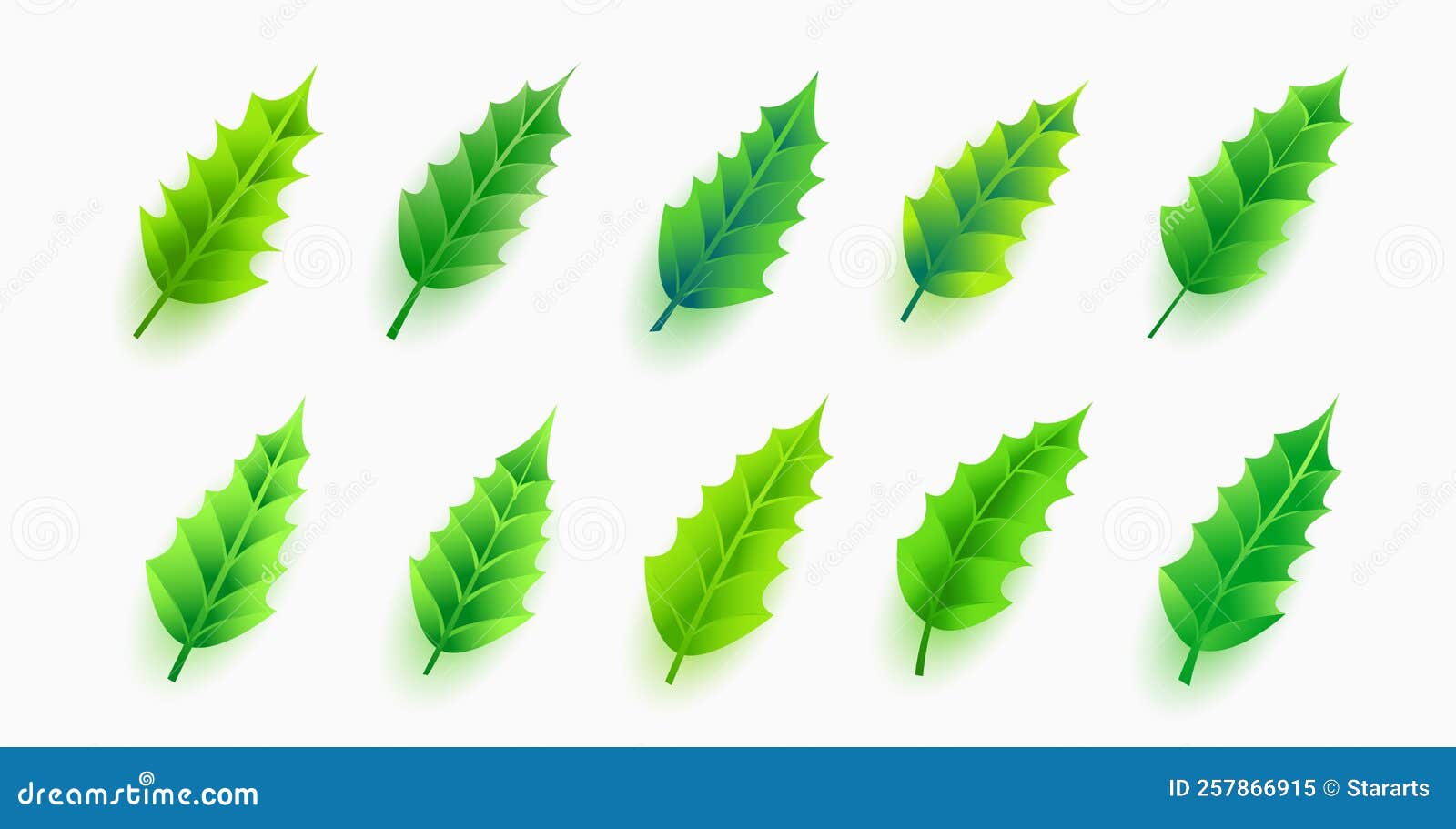 Pack of Realistic Ilex Leaves Christmas Elements Design Vector Stock ...