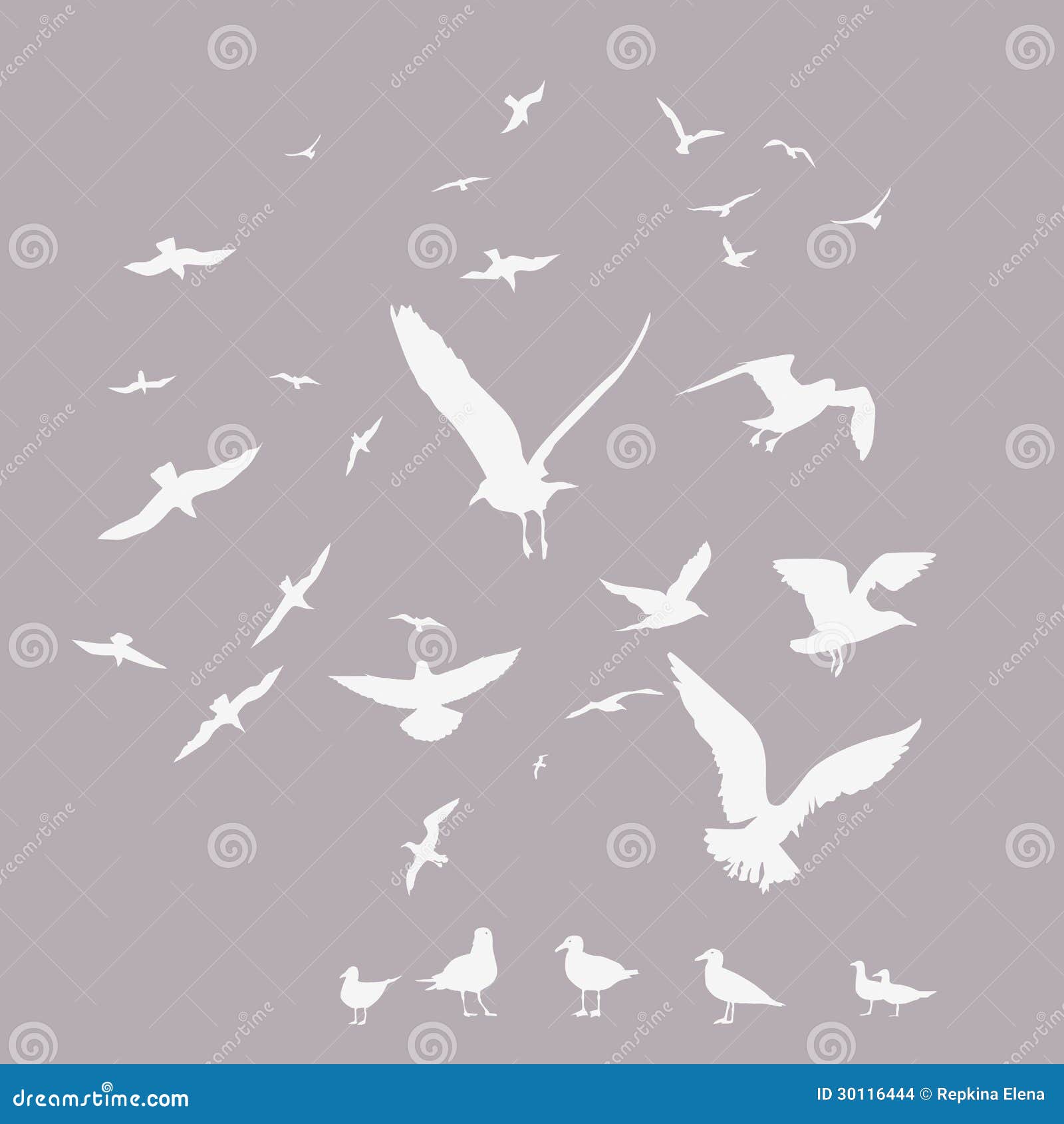 Pack of seagulls print stock vector. Illustration of seascape - 30116444