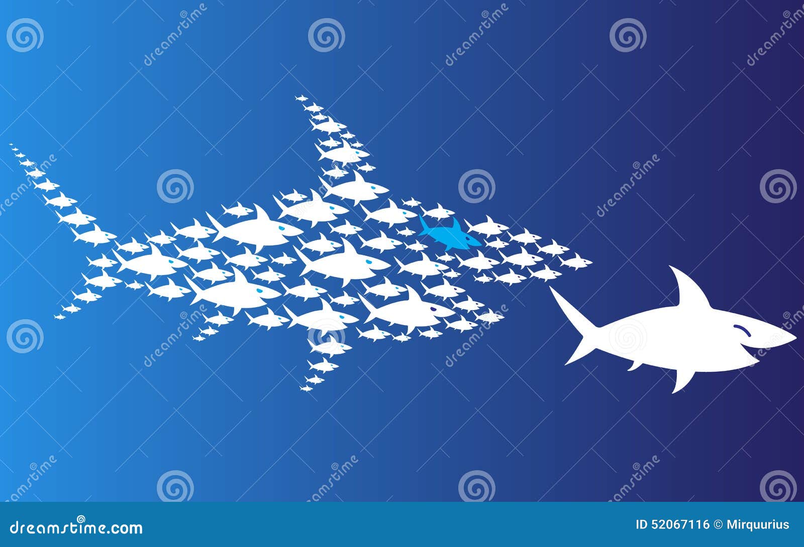 Pack of Sharks Pursues Big Shark. Stock Vector - Illustration of hungry ...