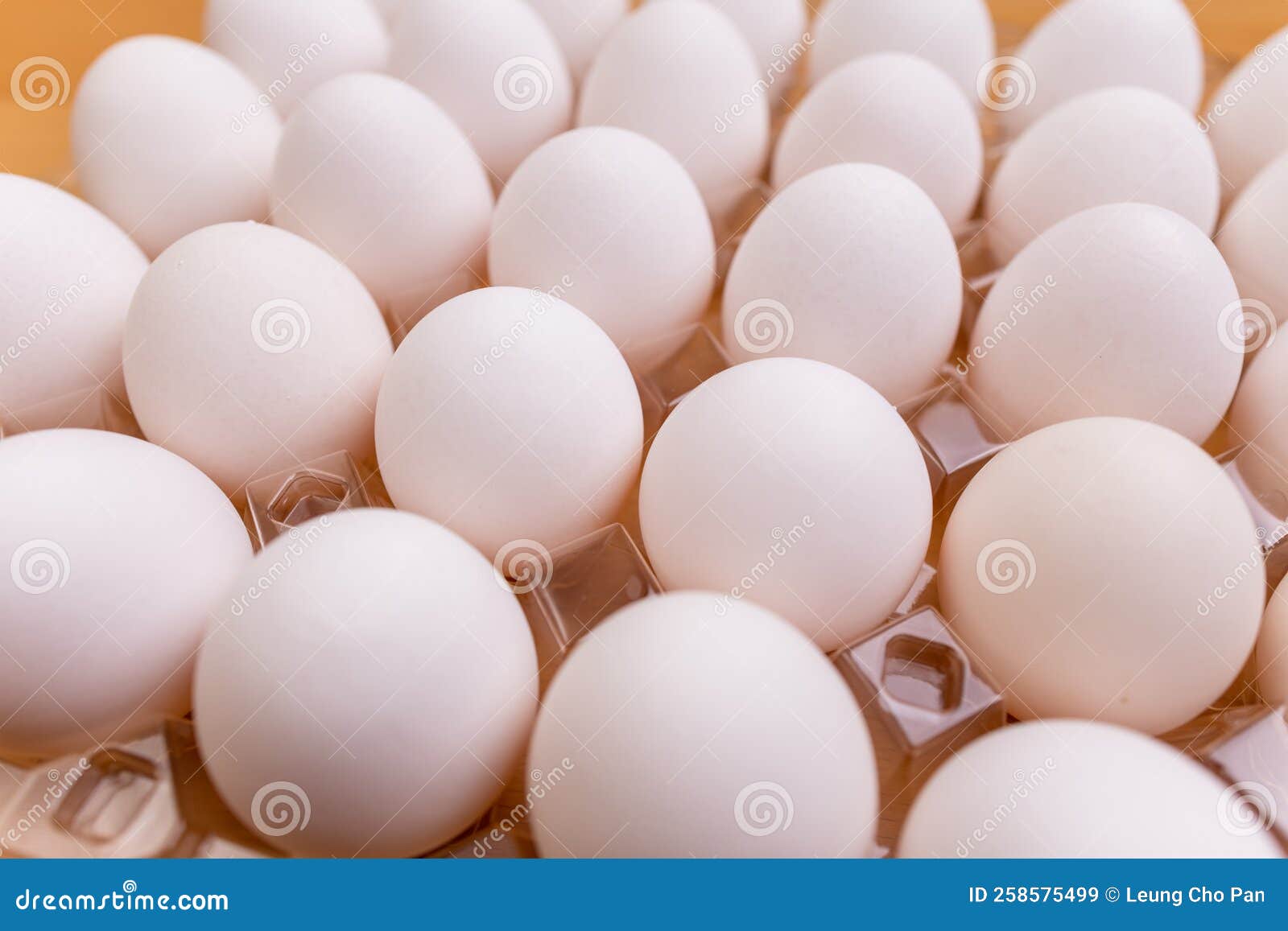 Pack of white chicken egg stock image. Image of eggshell - 258575499