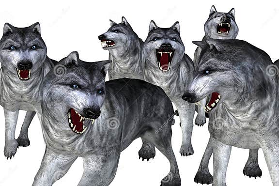 Pack of wolves stock illustration. Illustration of animals - 4178330