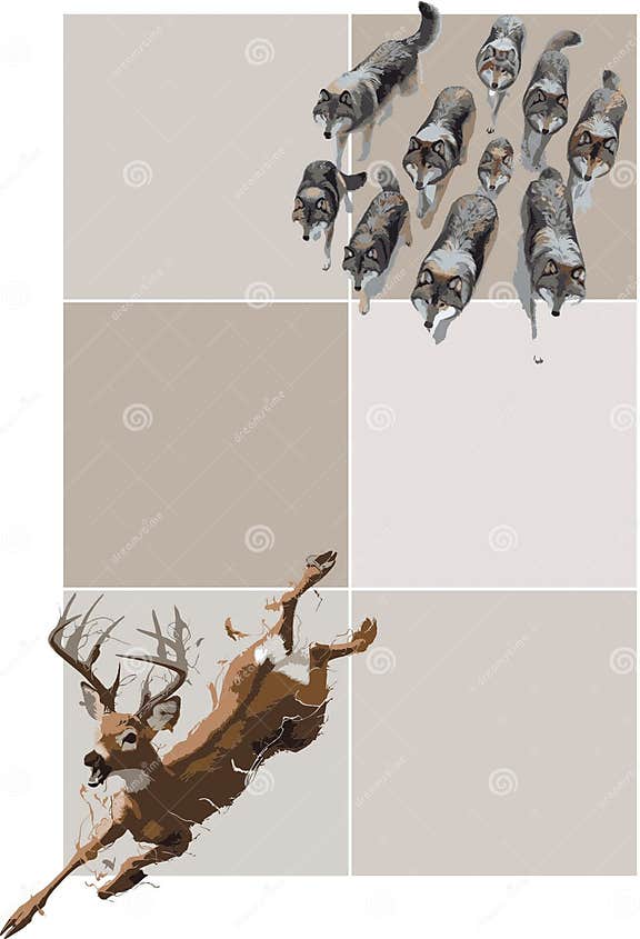 A Pack of Wolves Chasing a White Tail Deer Stock Illustration ...