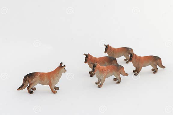 Pack of Wolves Miniature Toy Figures on White Background Stock Image ...