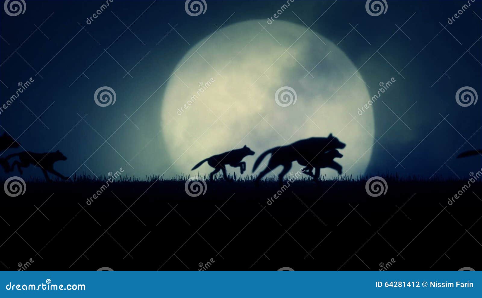 Pack Of Wolves Running At Night