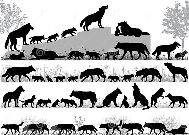 Pack of wolves stock vector. Illustration of mammal - 117627335