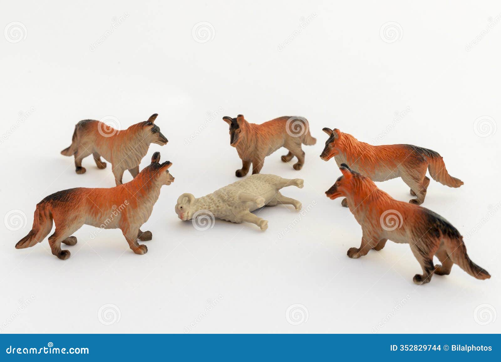 A Pack of Wolves Surrounded the Sheep To Eat Stock Photo - Image of ...