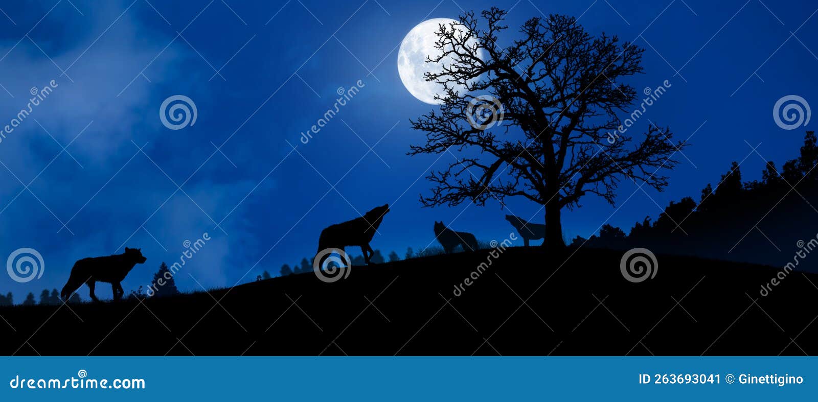 Pack of Wolves in the Woods with a Full Moon Stock Illustration ...