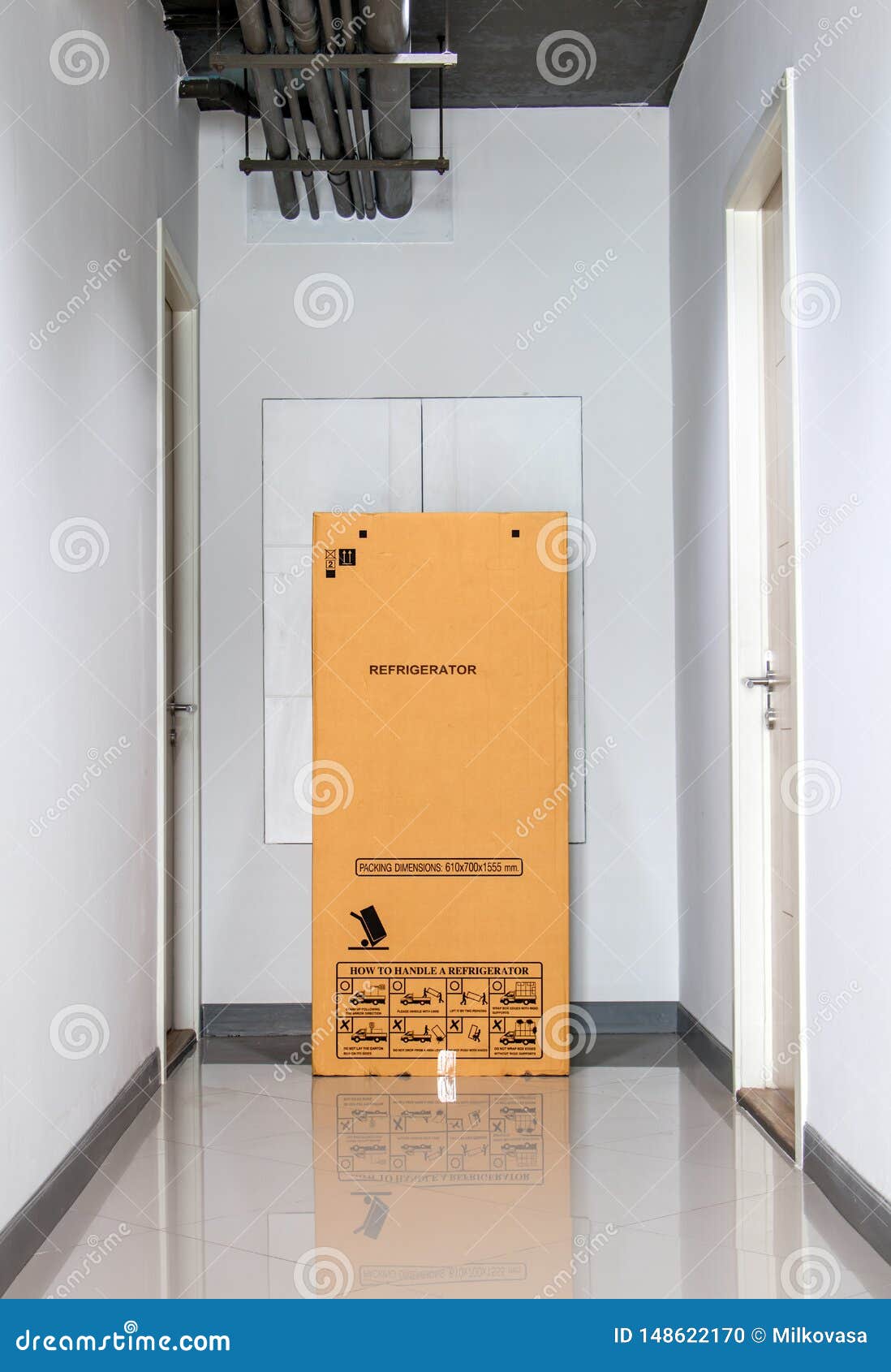 Package of the Fridge in Front of the Door Stock Photo - Image of ...