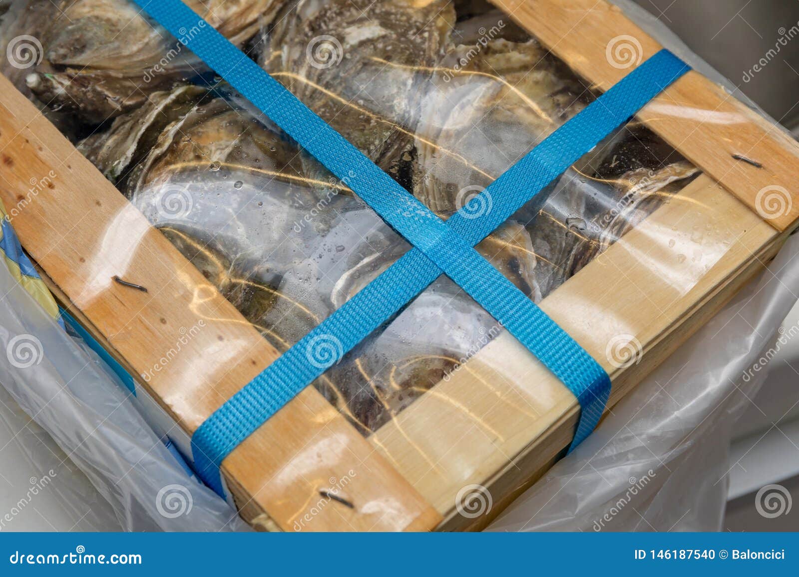 Package Oysters stock photo. Image of shells, crate - 146187540