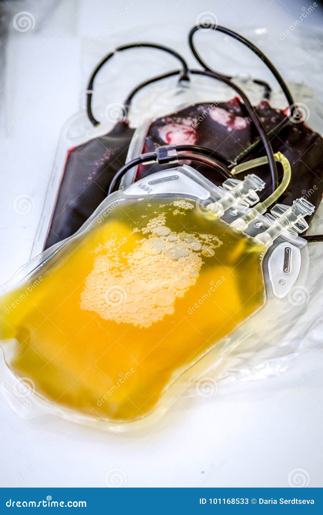 Package with Plasma and Two Bags of Donated Blood. Stock Image - Image ...