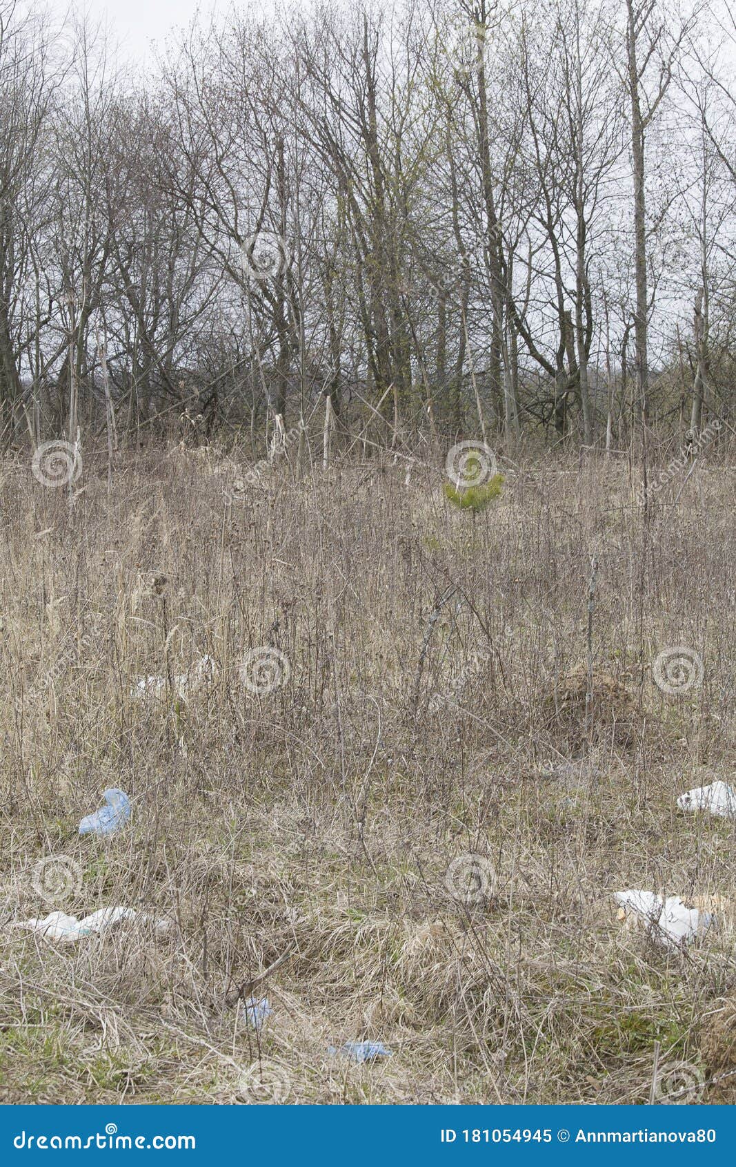 Package of Plastic Garbage Lies in the Forest Stock Image - Image of ...