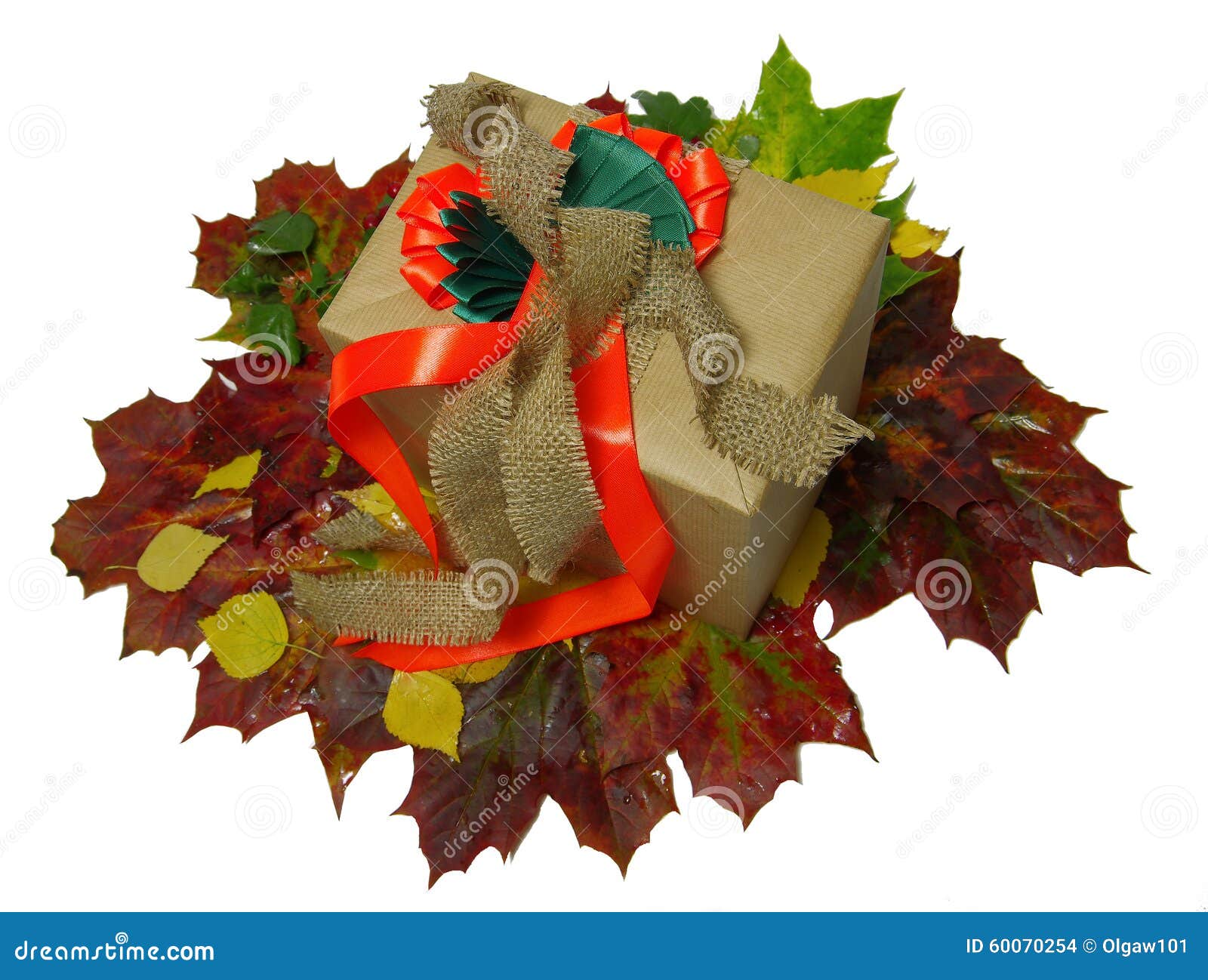 Packaged in Autumn Style Gift Stock Photo - Image of autumn, gift: 60070254
