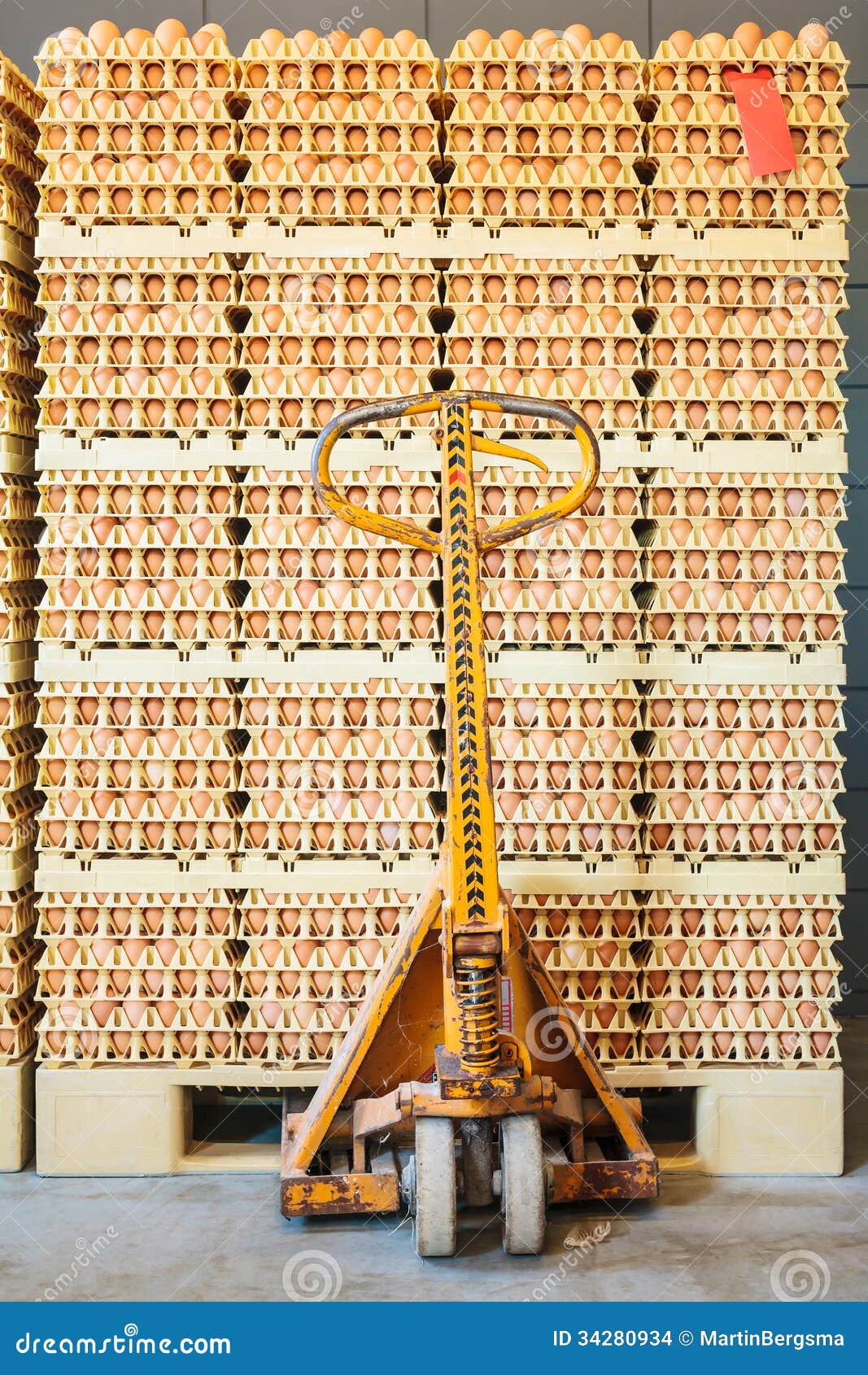 Packaged Eggs on an Organic Chicken Farm Stock Photo - Image of brown ...