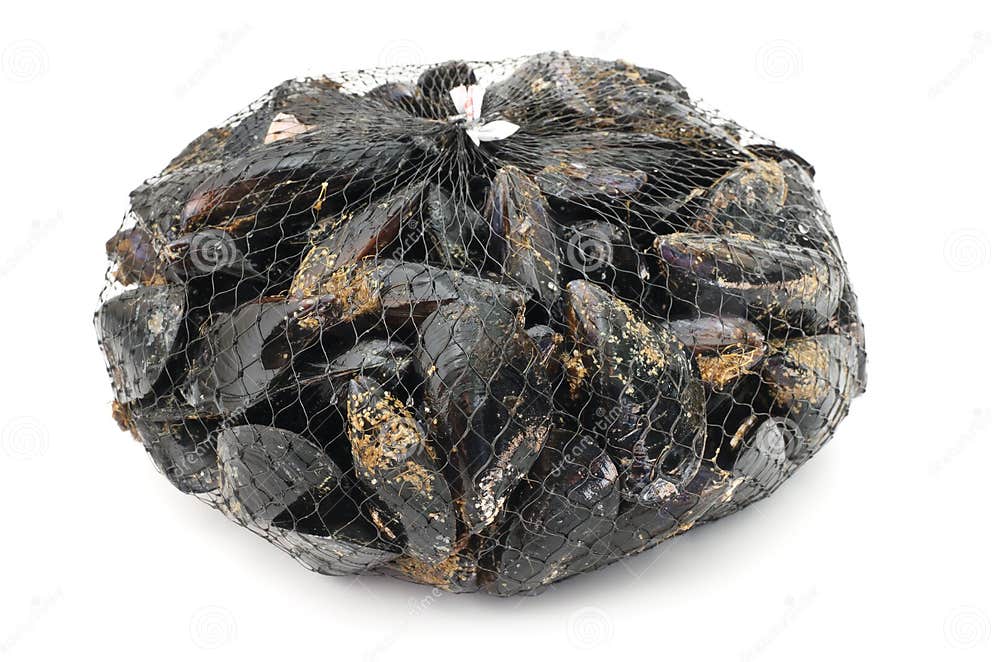 Packaged mussels stock photo. Image of life, seafood - 27020984