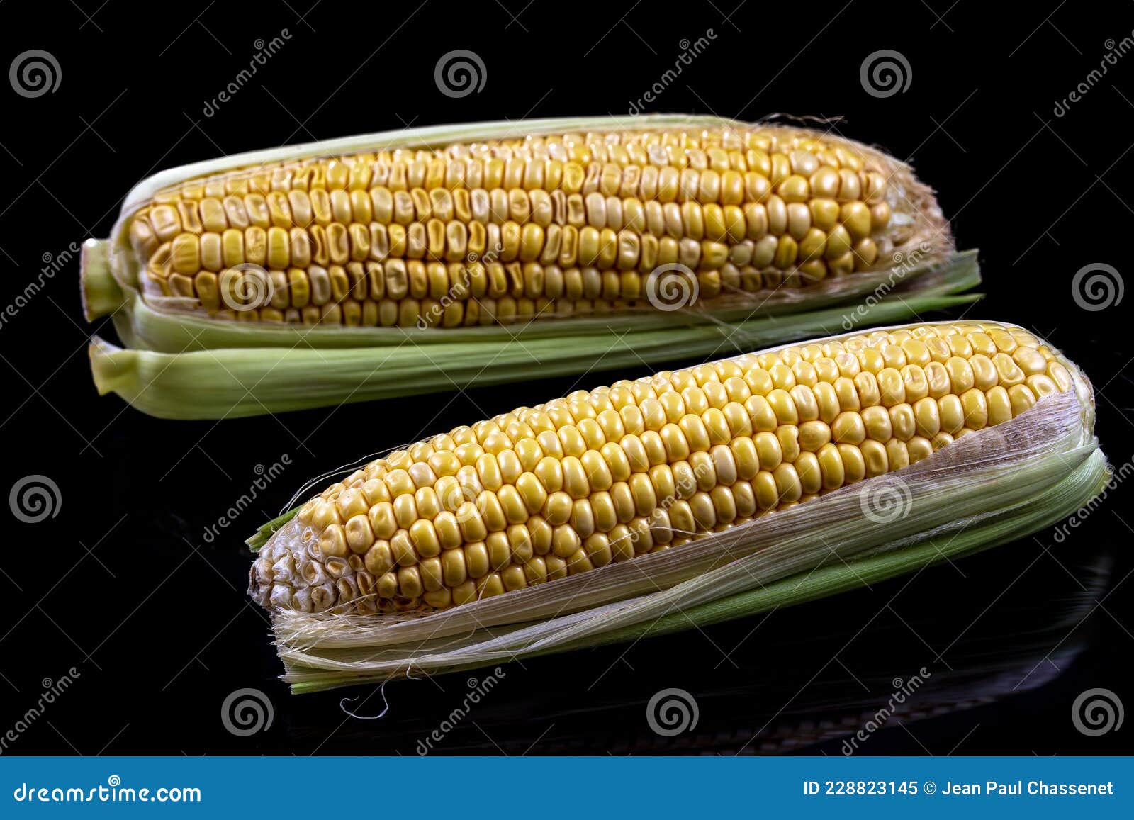 Packaged and Sealed Fresh Grocery Store Yellow Corn. Isolated. on Black ...