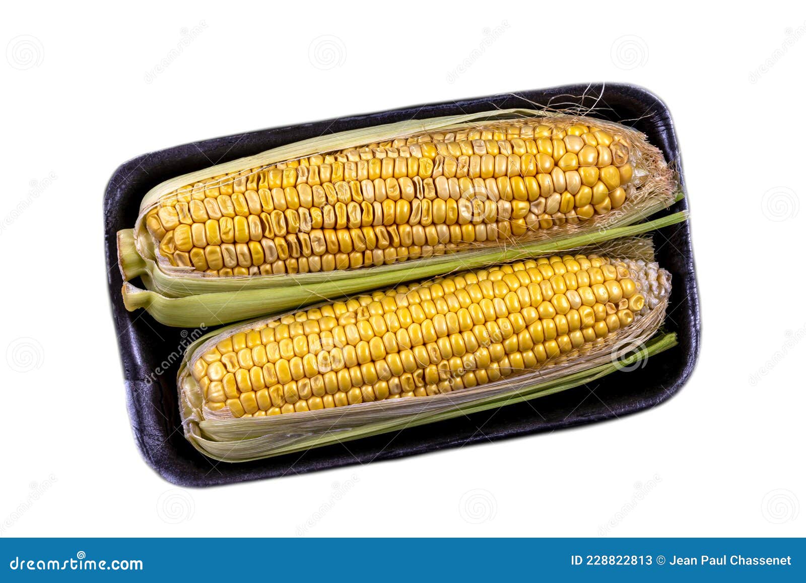 Packaged and Sealed Fresh Grocery Store Yellow Corn. Isolated. on White ...