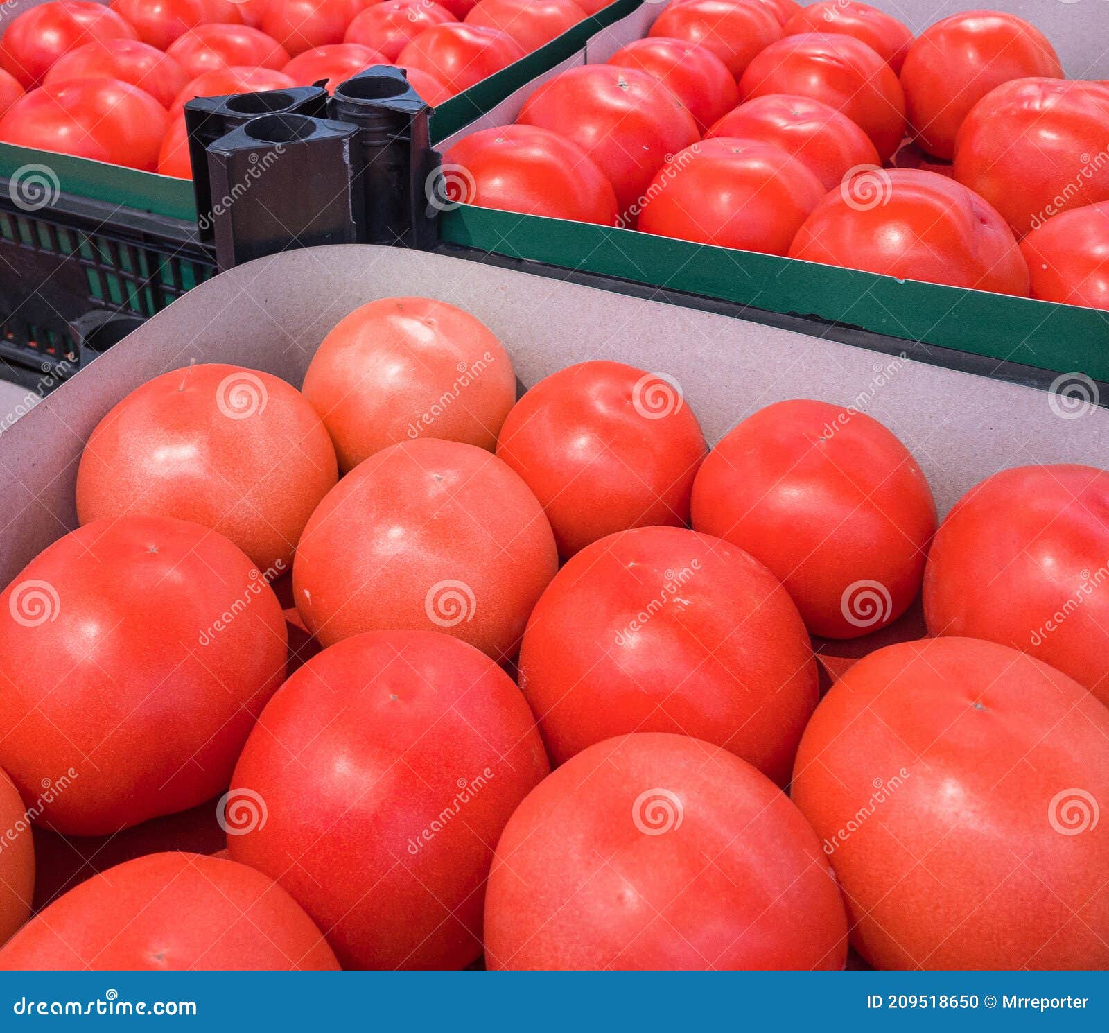 Packages of the Pink Tomatos Stock Photo - Image of grocery, packed ...