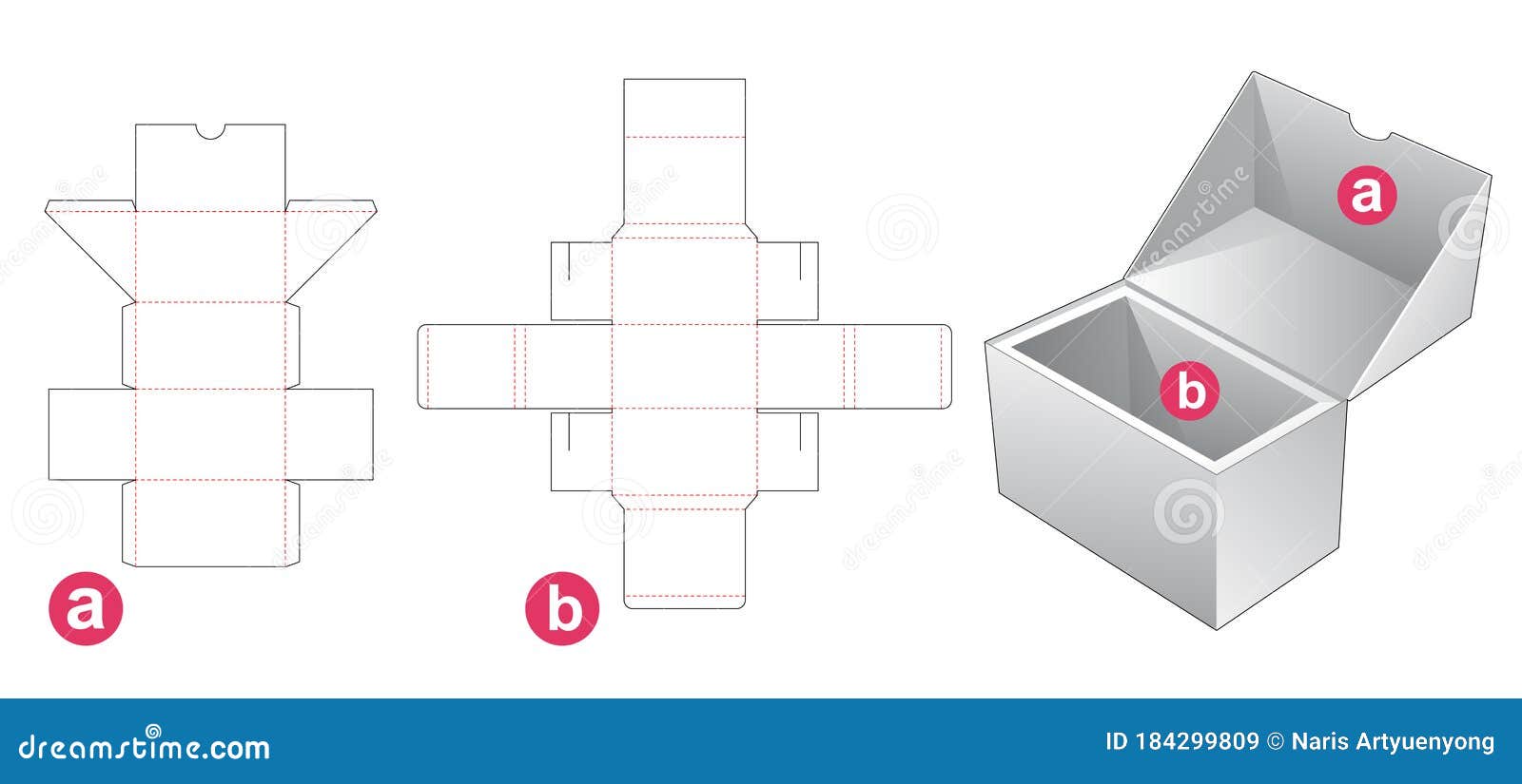 Packaging Box And Lid With Insert Die Cut Template Cartoon Vector ...