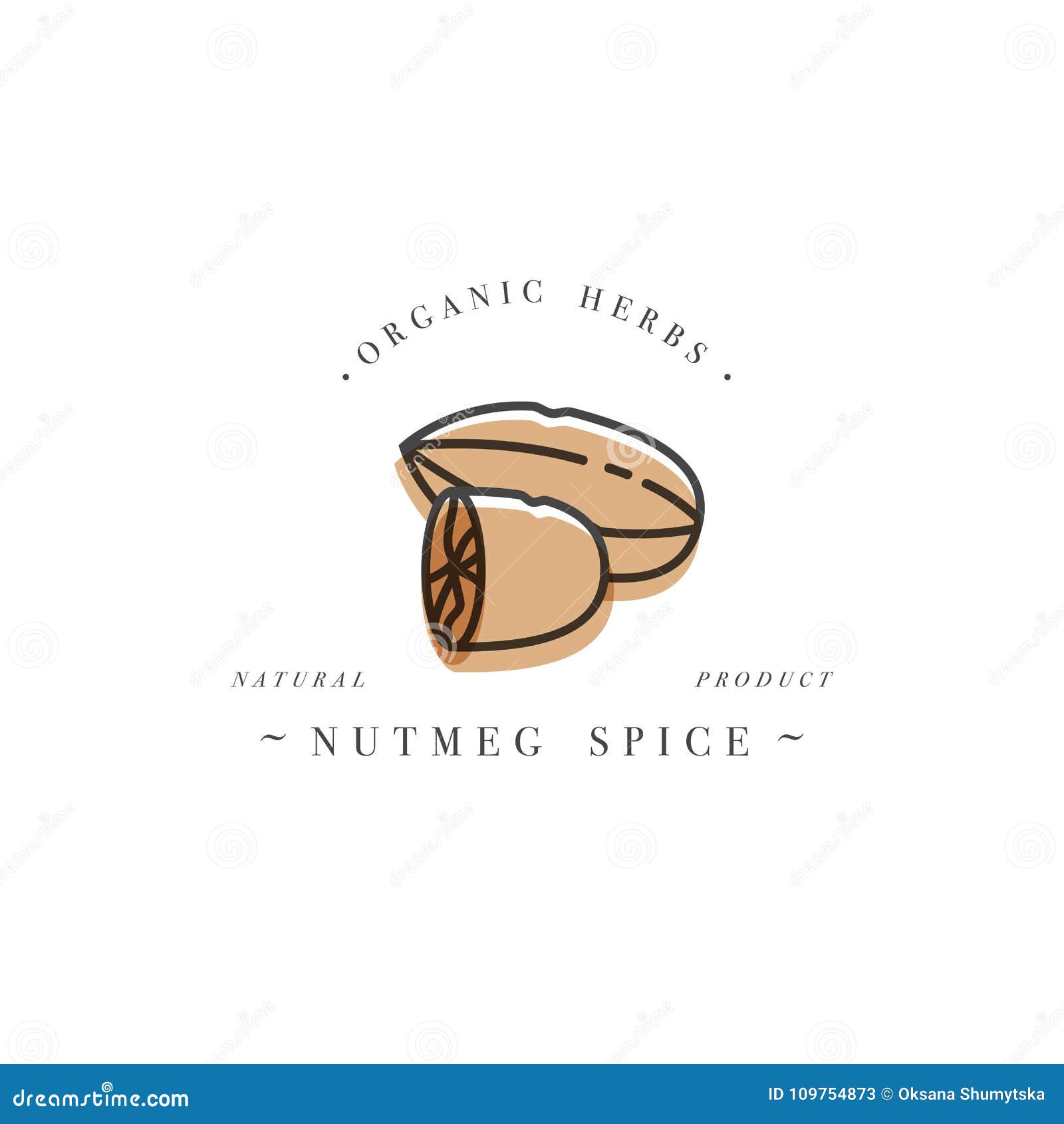 Packaging Design Template Logo and Emblem - Herb and Spice - Nutmeg Nut ...
