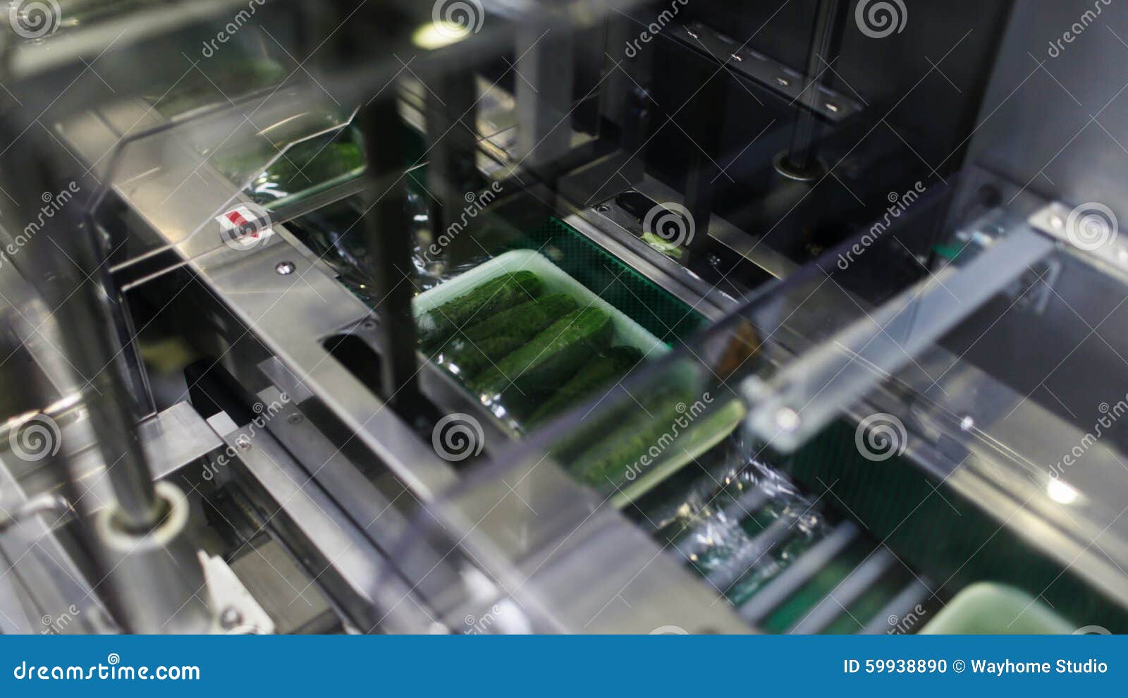 Packaging Machine for Cucumber in Factory Stock Photo - Image of ...